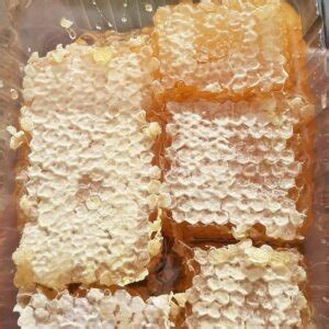 Купить мед в сотах с пасеки