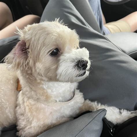 모리와 시댁가기