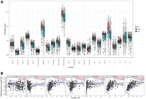 Prognostic Significance And Immune Characteristics Of Apoe In Gastric Cancer Figure F Aging
