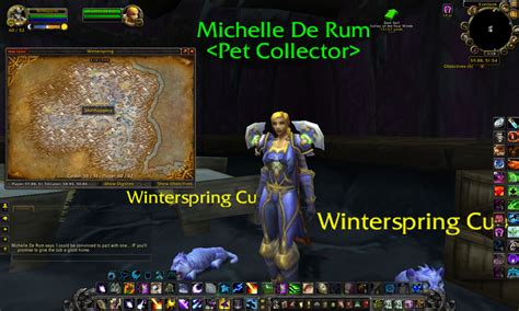 Wow Companion Collector Winterspring Cub Uncommon Lvl 1