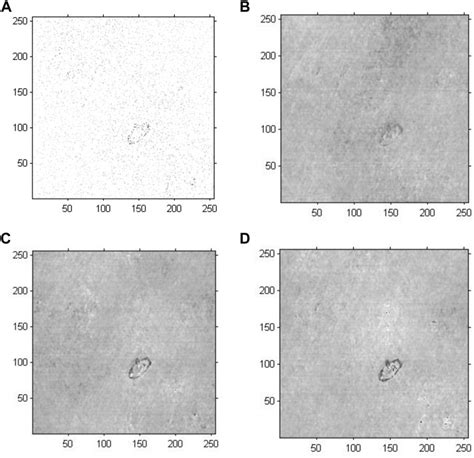 Frontiers Cell Image Reconstruction Using Digital Holography With An Improved Gs Algorithm