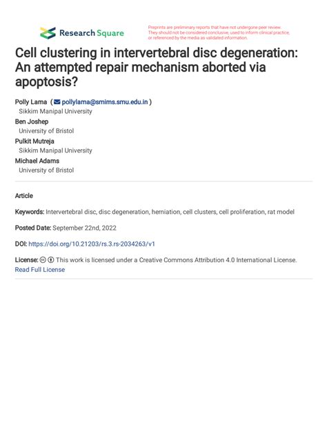 Pdf Cell Clustering In Intervertebral Disc Degeneration An Attempted