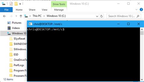 How To Quickly Launch A Bash Shell From Windows 10s File Explorer