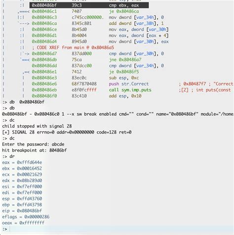 ida how to decrypt the password using radare2 or gdb reverse