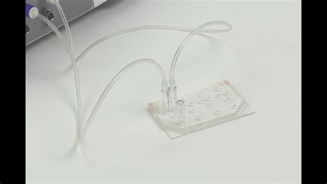 Microfluidic Y Connector At Jenifer Cortina Blog