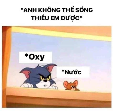 Tom And Jerry Meme Siêu Cute Bộ Ảnh Chế Hài Hước Nhất