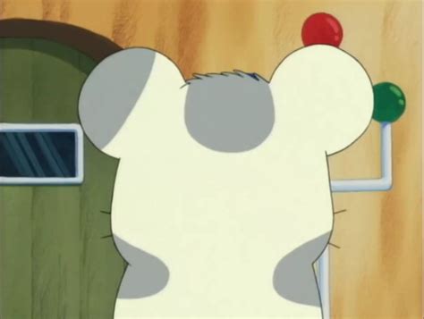 Oxnards Pure Heartgallery The Hamtaro Wiki Fandom