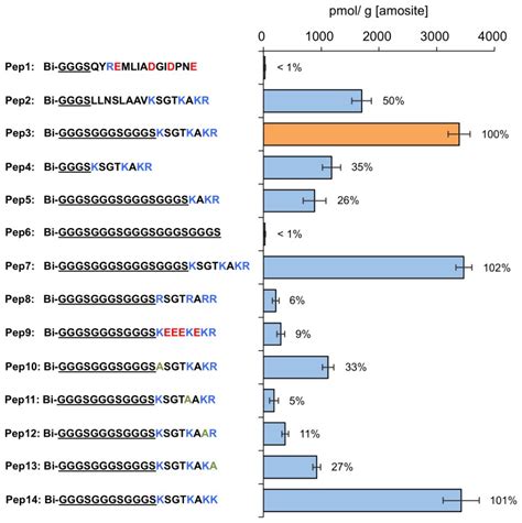 Pep1 Pep7 Were Used To Identify The Binding Sequence And Optimal Linker Download Scientific