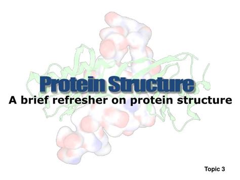 Ppt Protein Structure Powerpoint Presentation Free Download Id2128197