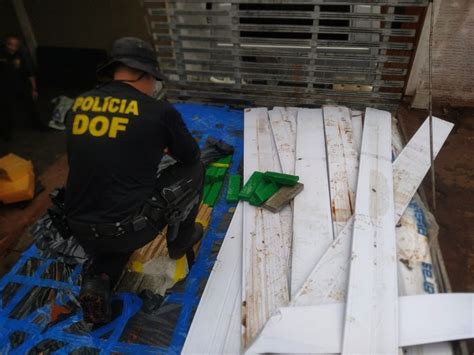 Carga De Maconha Avaliada Em Mais De R 5 Milhões é Apreendida Pelo Dof