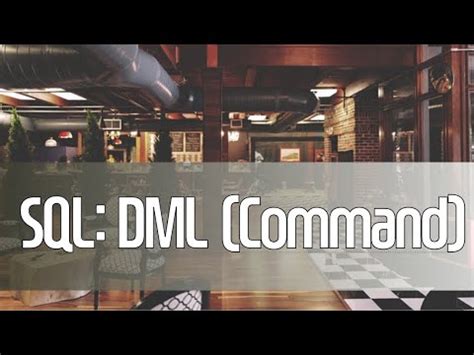 SQL기초 DML Command insert update delete YouTube