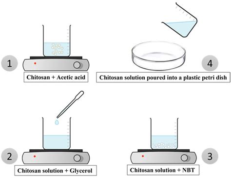 Schematic Representation Of Synthesis Chitosan Nbt Membrane
