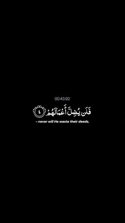 والذين قتلوا في سبيل لله فلن يضل اعمالهم سورة محمد الايه4 9 الشيخ