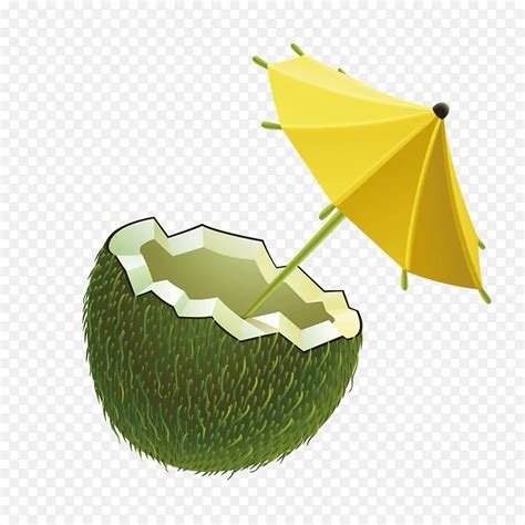 矢量椰子壳雨伞png图片素材下载 图片编号qonpokax 免抠素材网