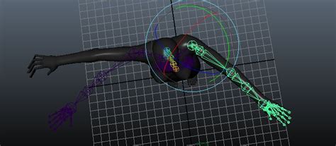 Maya Rigging Skinning Problem Autodesk Community