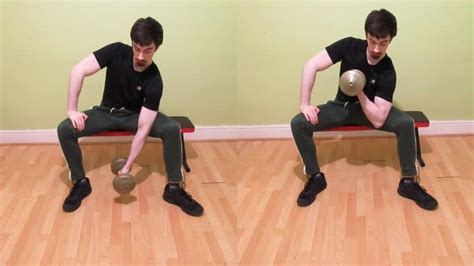 Dumbbell Concentration Curls Seated And Standing