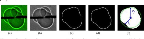 Figure 5 From Effect Of Microwave Pulses On The Morphology And