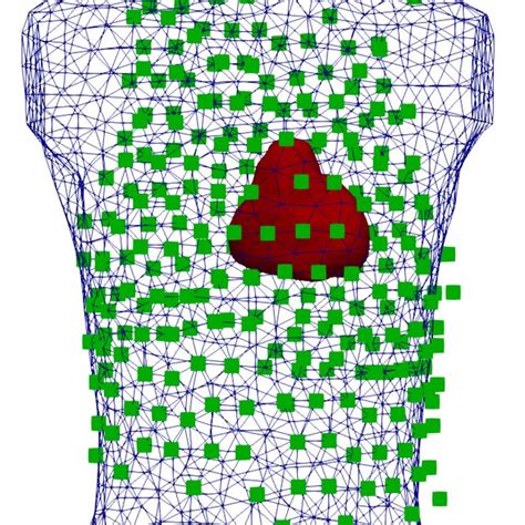 segmented heart torso model used to solve inverse solutions without