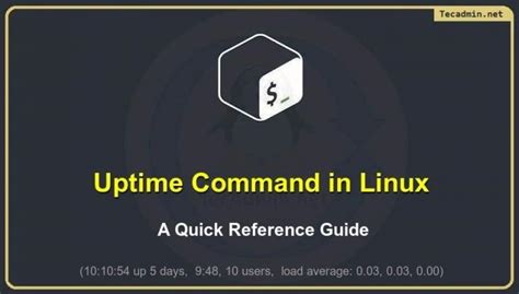 A Quick Reference Guide To Uptime Command In Linux