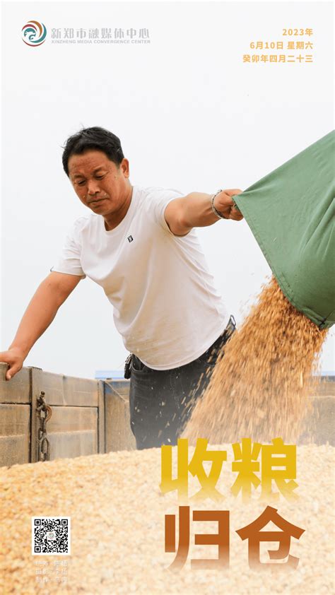新郑海报 收粮归仓赵丹冉责编