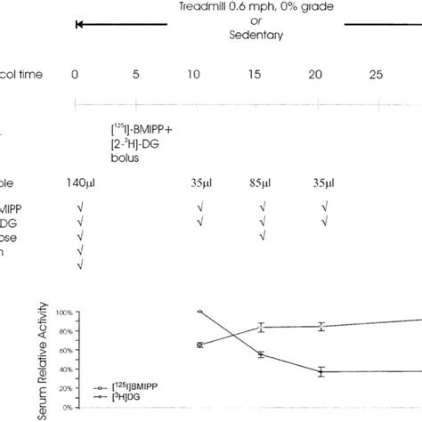 Experimental Protocol Top And Relative Serum Activity Bottom