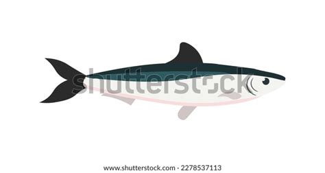 Anchovy Vector Illustration Cartoon Isolated Small Stock Vector