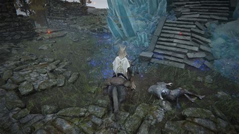 What Happened In Rannis Rise And Caria Manor After Ranni Questkill