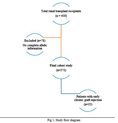 Biostatistical Analysis Of Relation Between HLA A B And HLA DR Eplet