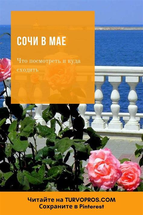 Сочи в мае — что посмотреть и куда сходить Сочи Поездки Путешествия