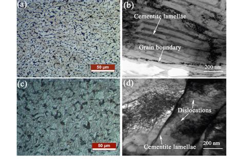 Microstructure Of The Structural Steel At Different Conditions A Download Scientific Diagram