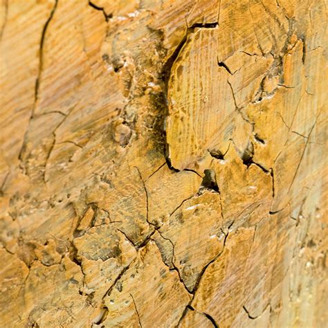 China Three Dimensional Texture Painting Manufacturers Three