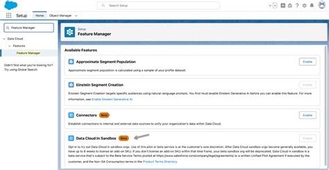 Finally Ga Harnessing Salesforce Data Cloud In Sandbox Environments Nerd Work