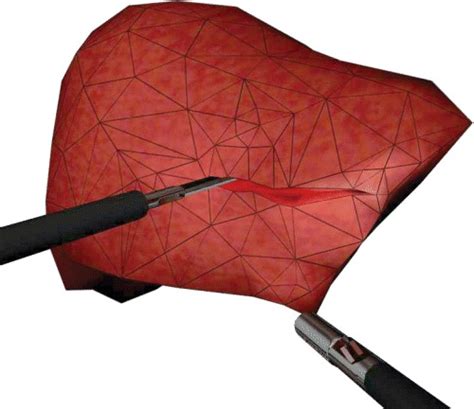 Adaptive Soft Tissue Modeling With Cutting And Grasping Download