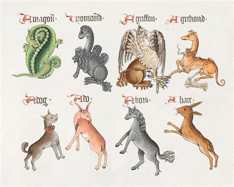 Cryptids List Meet Maryland S Cryptids And The Wildlife That May Have