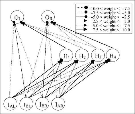 Schematic View Of The Average Network In The Last Generation Resulting Download Scientific