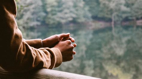 4 Consejos De Harvard Para Tener Una Buena Salud Mental