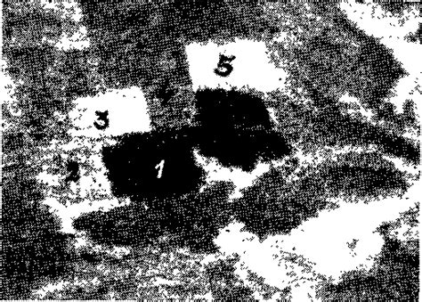 Figure 1 From An Experiment In Automated Interpretation Of Remote