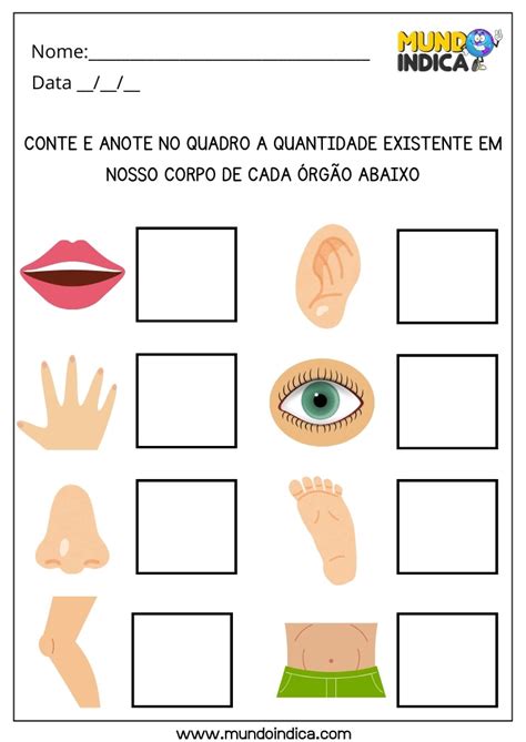 10 Atividades Lúdicas Sobre O Corpo Humano