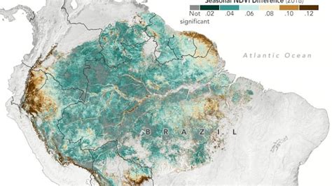 Amazon Rainforest ‘dieback May Be Approaching Tipping Point
