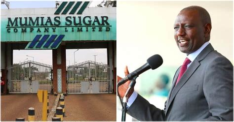 William Ruto Vows To Revive Mumias Sugar Company Promises To Write Off