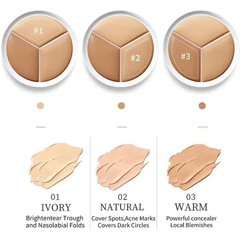 Tfit Cover Up Pro Concealer Berry Me