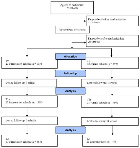 Flow Diagram Of Babes And Participants Download Scientific Diagram
