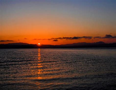 Kamen Mitzev On Linkedin В миналото арабите раздавали на сватба вкусно приготвено месо завито в…