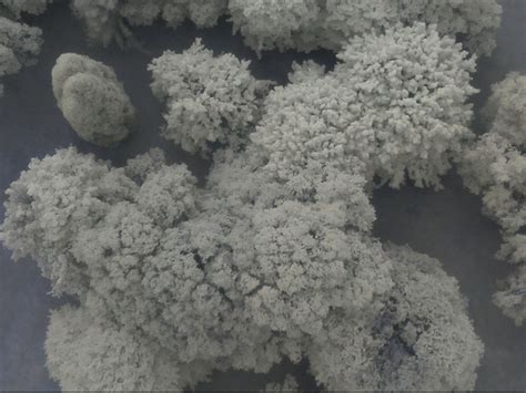 Whats That Blue Thing Doing With My Pi Noir Piday Raspberrypi Raspberrypi Adafruit