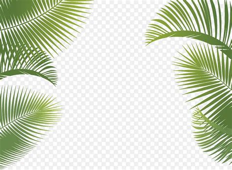 Png Png