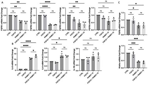 Fibroblast Growth Factor 23 Signaling Does Not Increase Inflammation