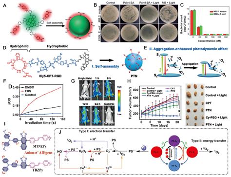 A Schematic Illustration Of The Self‐assembled Nanostructure Pcn4‐ba Download Scientific