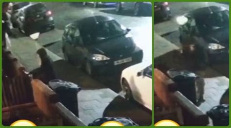 На човекот не му е јасно како успеа во 2 метри да си ја загуби ламбата и каде исчезна Мотика