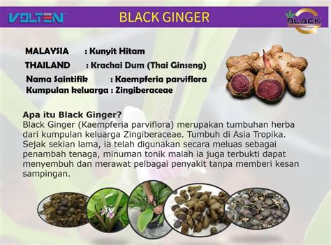 10 Sebab Halia Hitam Jadi Bahan Terbaik Dunia