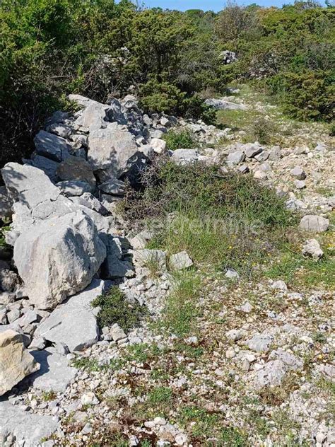 Cres Stivan Poljoprivredno Zemljište 3096 M2